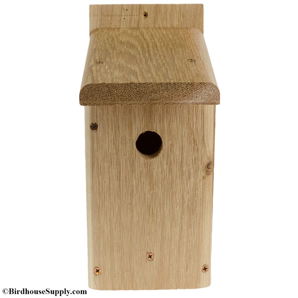 Songbird Essentials Chickadee House at BirdhouseSupply.com