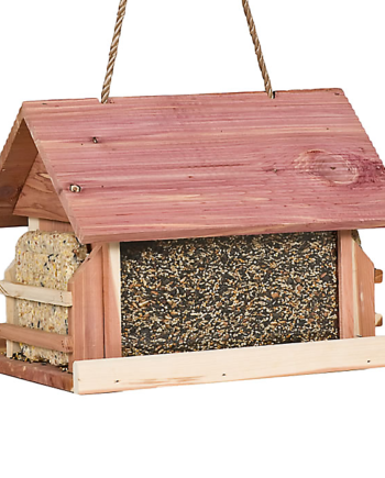 Suet & Block Bird Feeders | Suet Feeder | Block Feeder